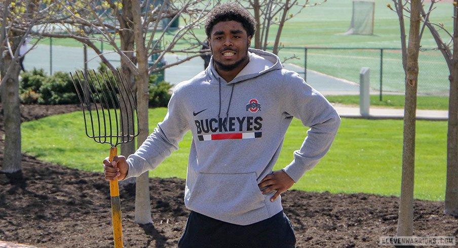 Photos of Ohio State's Scarlet Squad Landscaping Buckeye Grove | Eleven ...