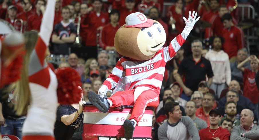 Dustin Fox's Faith in the Buckeyes is Rewarded | Eleven Warriors