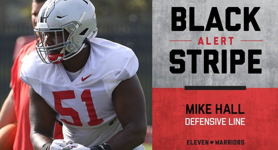 Ohio State Freshman Defensive Tackle Mike Hall Sheds Black Stripe ... Ohio State Freshman Defensive Tackle Mike Hall Sheds Black Stripe ...