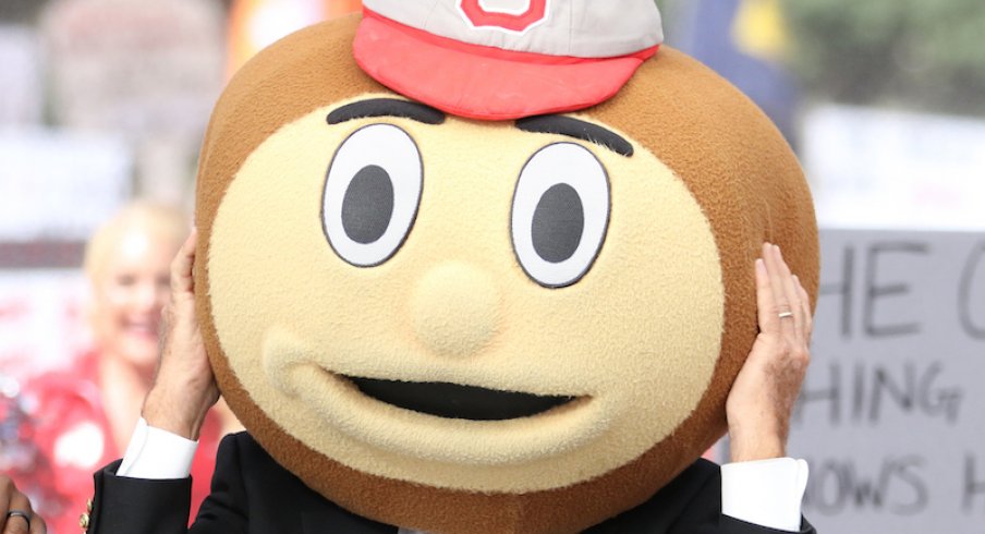 Brutus Buckeye Head