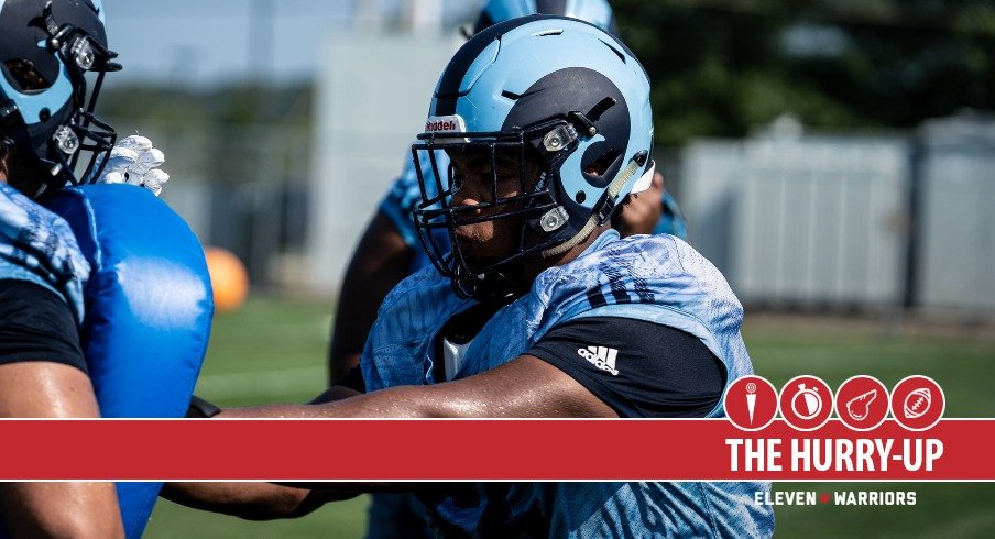 The Hurry Up Ohio State Offers Transfer Offensive Tackle Ajani